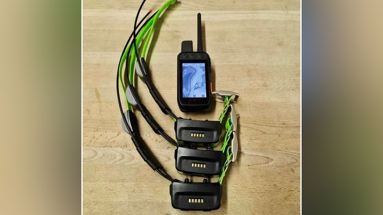 IL NUOVO GARMIN ALPHA® 200 PER LA CACCIA E LA CINOFILIA